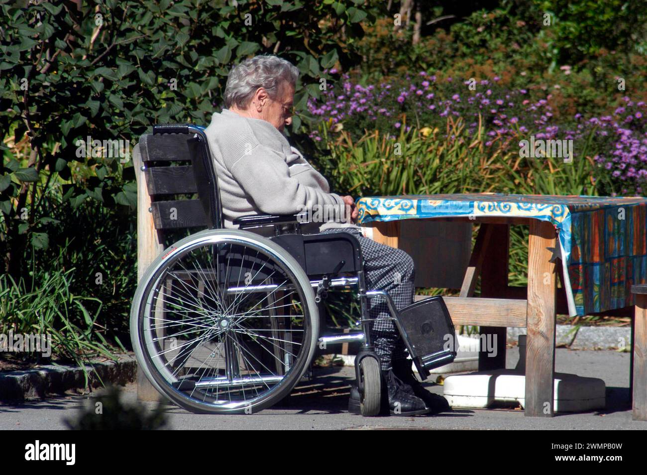 mobility and transport of an old person in a wheelchair mobility of ...