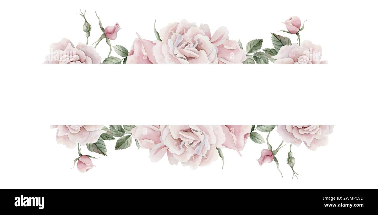 Horizontal frame of pink rose hip flowers, buds and leaves, Victorian ...