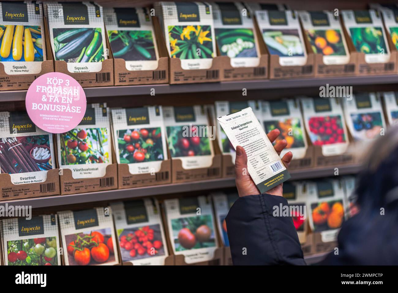 Close-up view of woman reading instructions in the store on a packet of ...