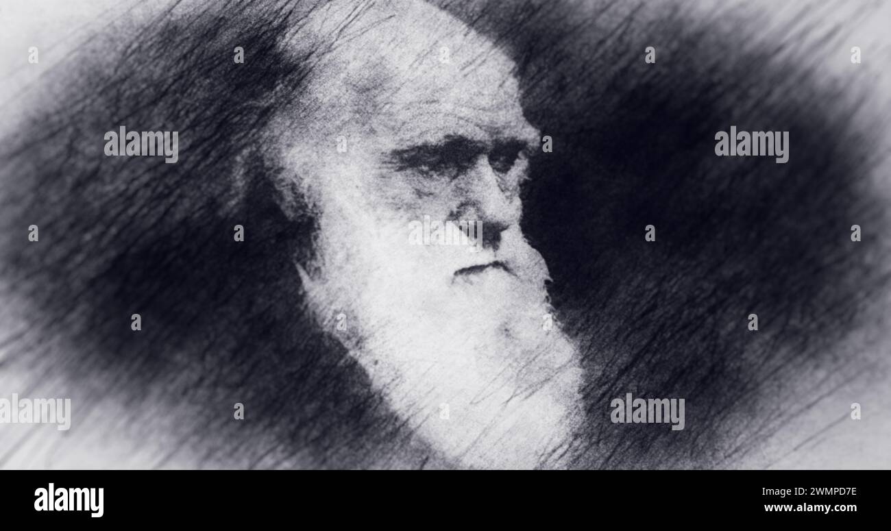 Charles darwin drawing hi-res stock photography and images - Alamy