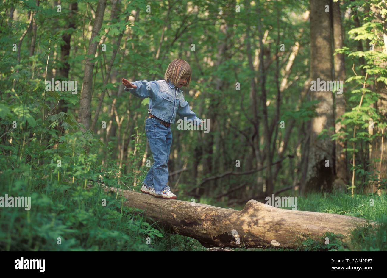 Young girl balancing on log Stock Photo - Alamy