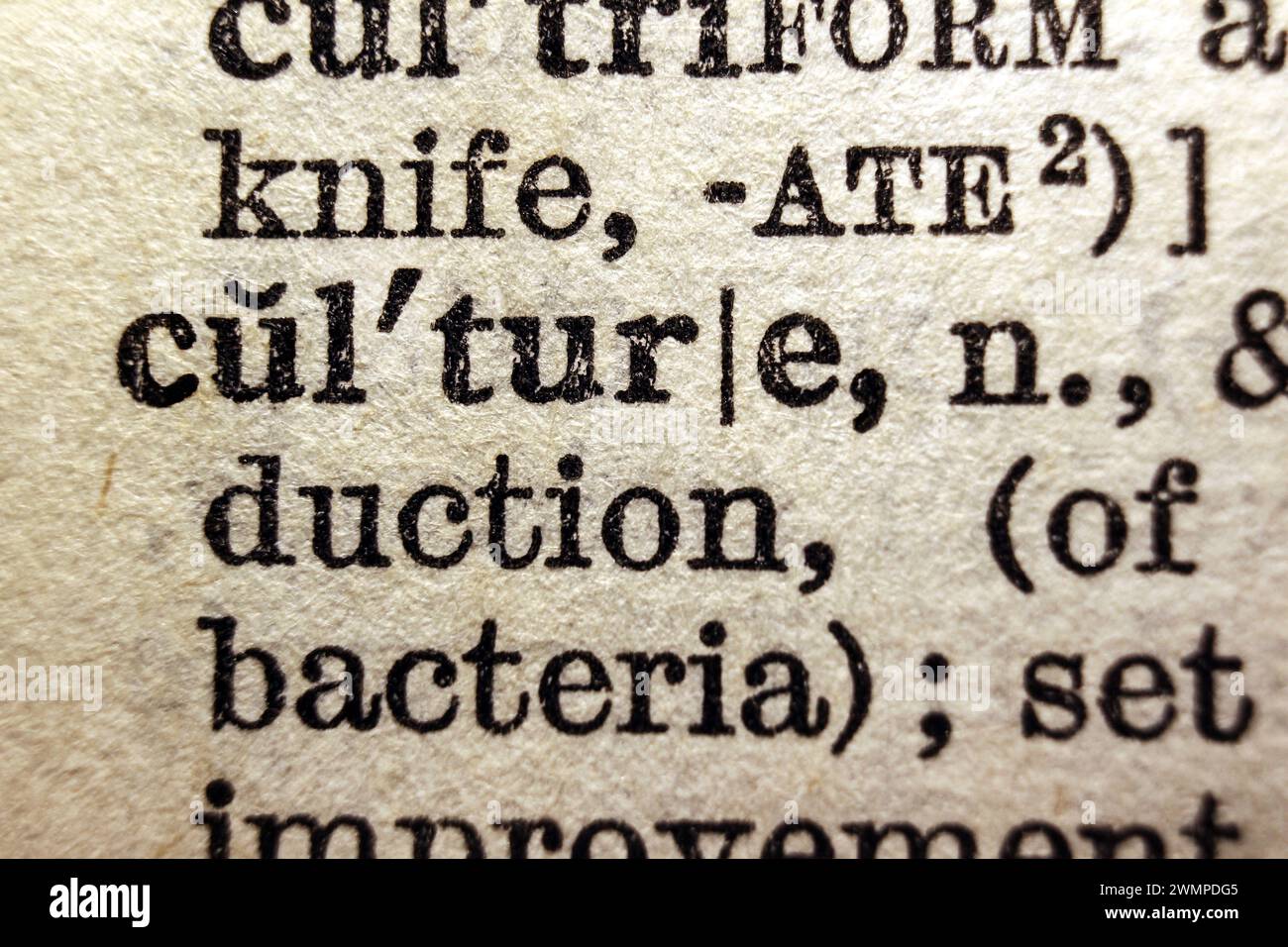 Definition of word culture on dictionary page, close-up Stock Photo - Alamy