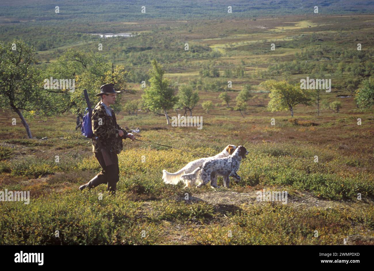 Man hunting with dogs hi-res stock photography and images - Alamy