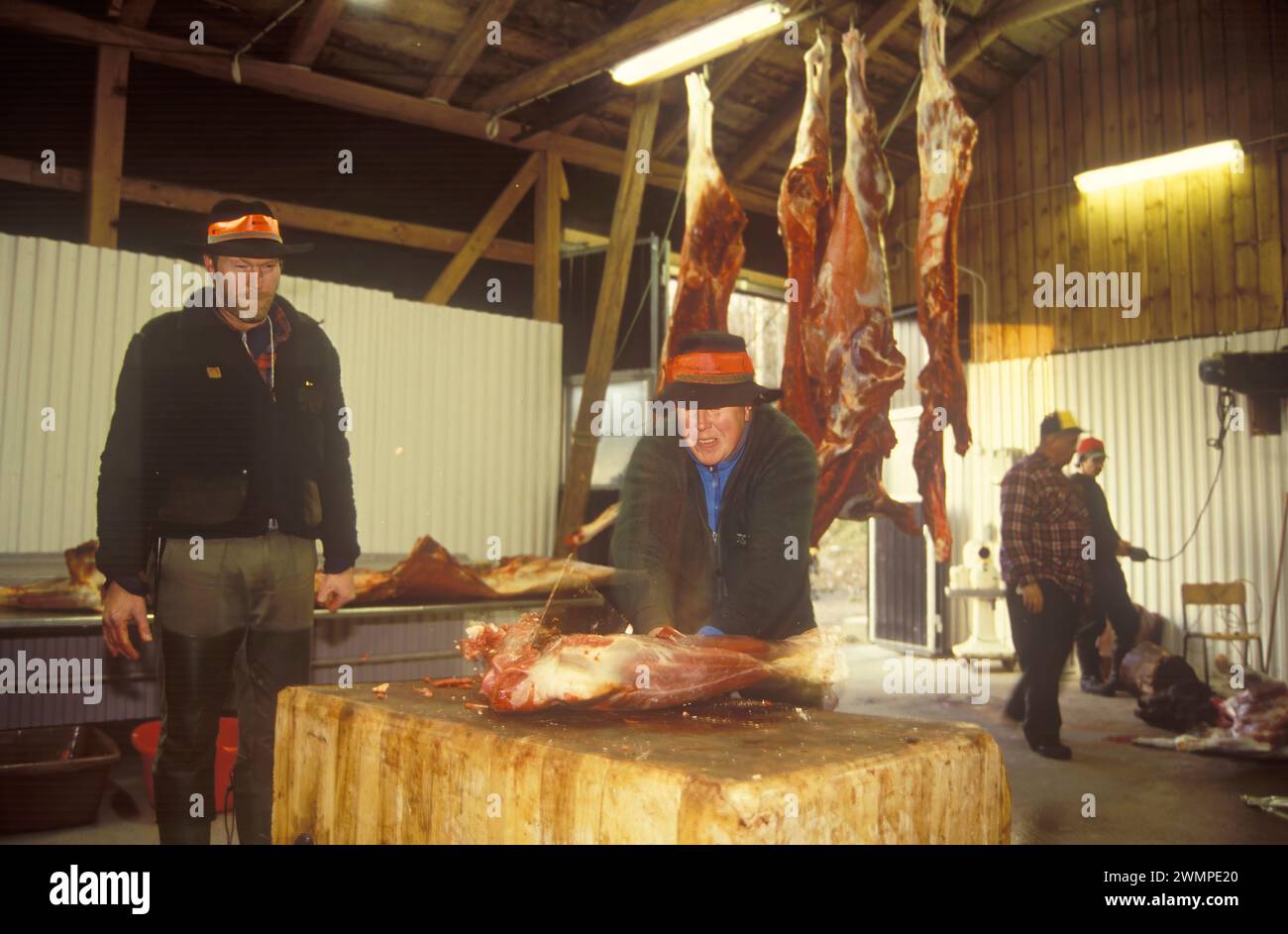Moose meat hi-res stock photography and images - Alamy