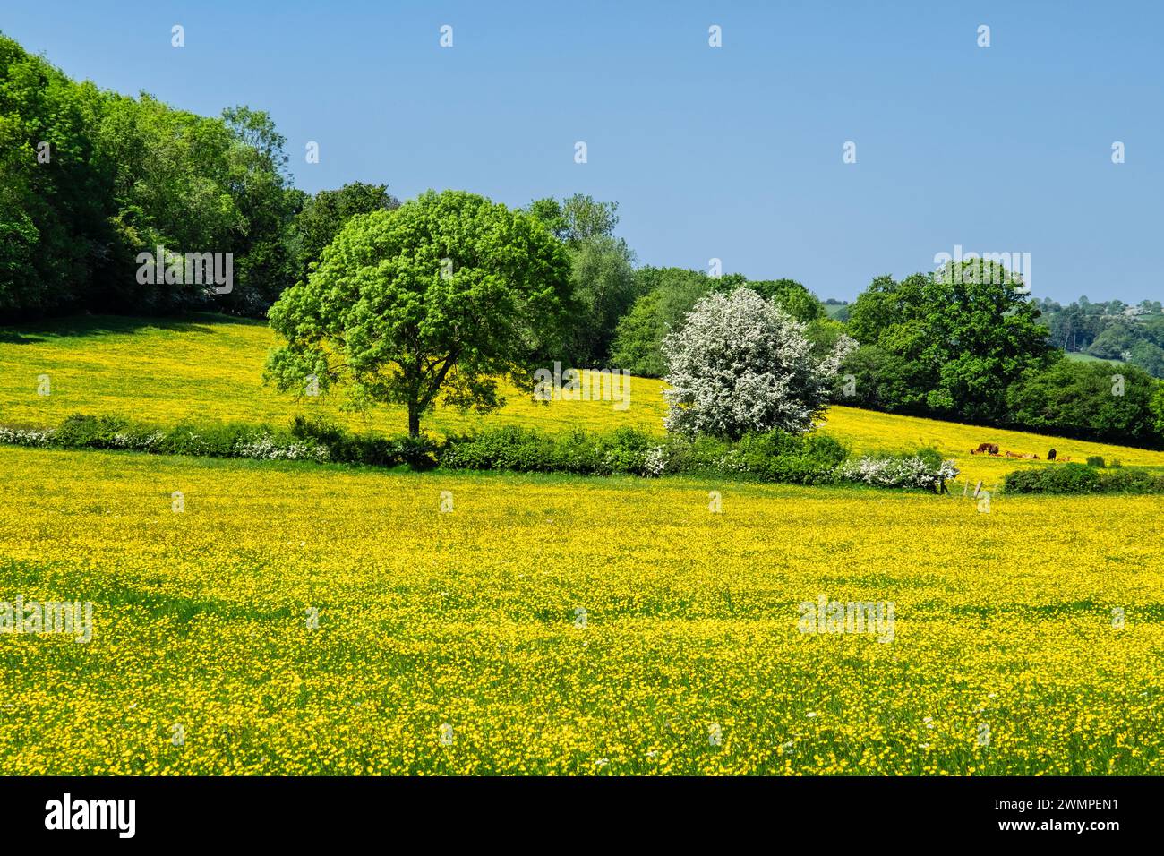 English rural scenes hi-res stock photography and images - Alamy