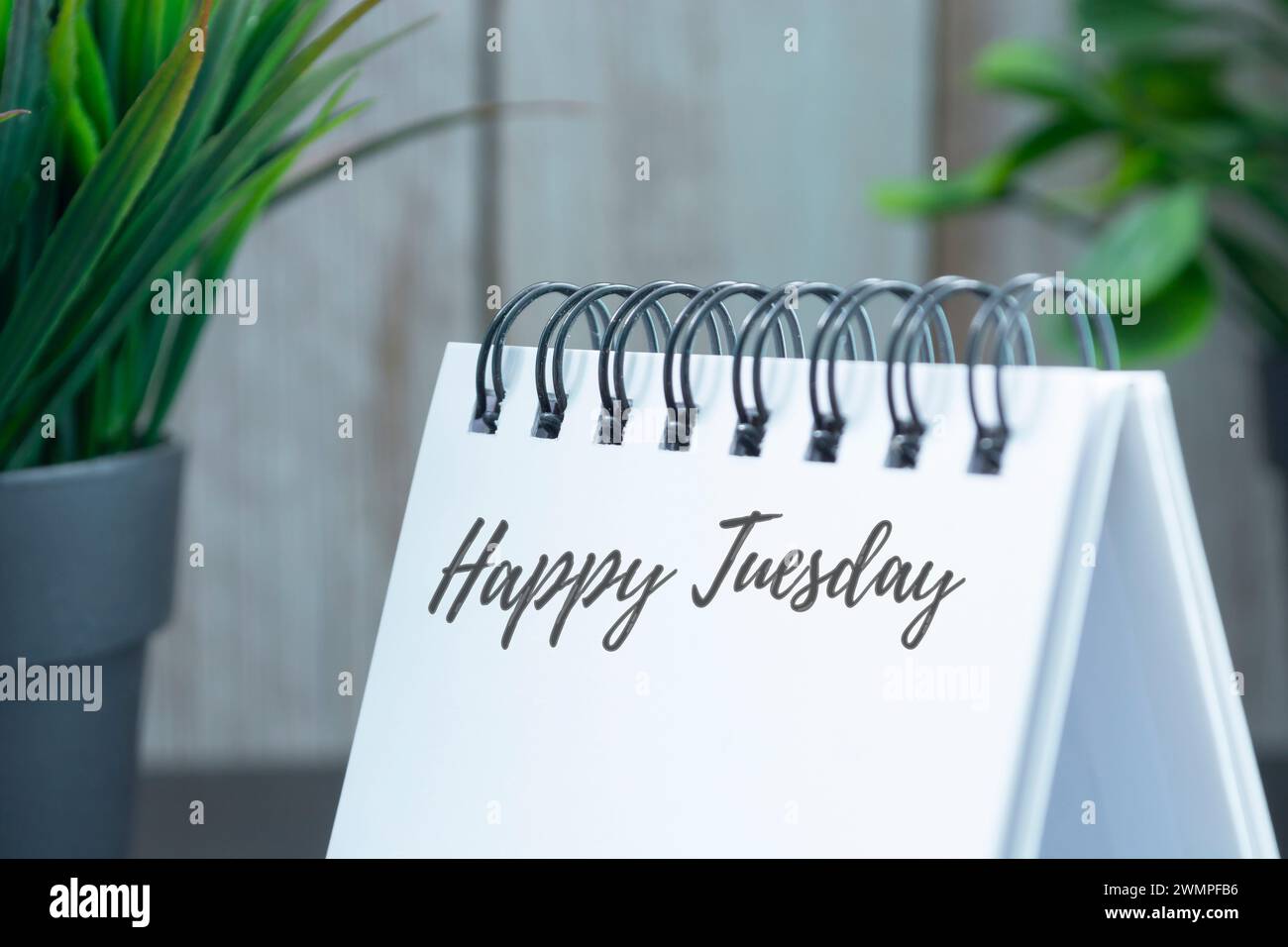 Happy tuesday text on white calendar with potted plant background Stock ...