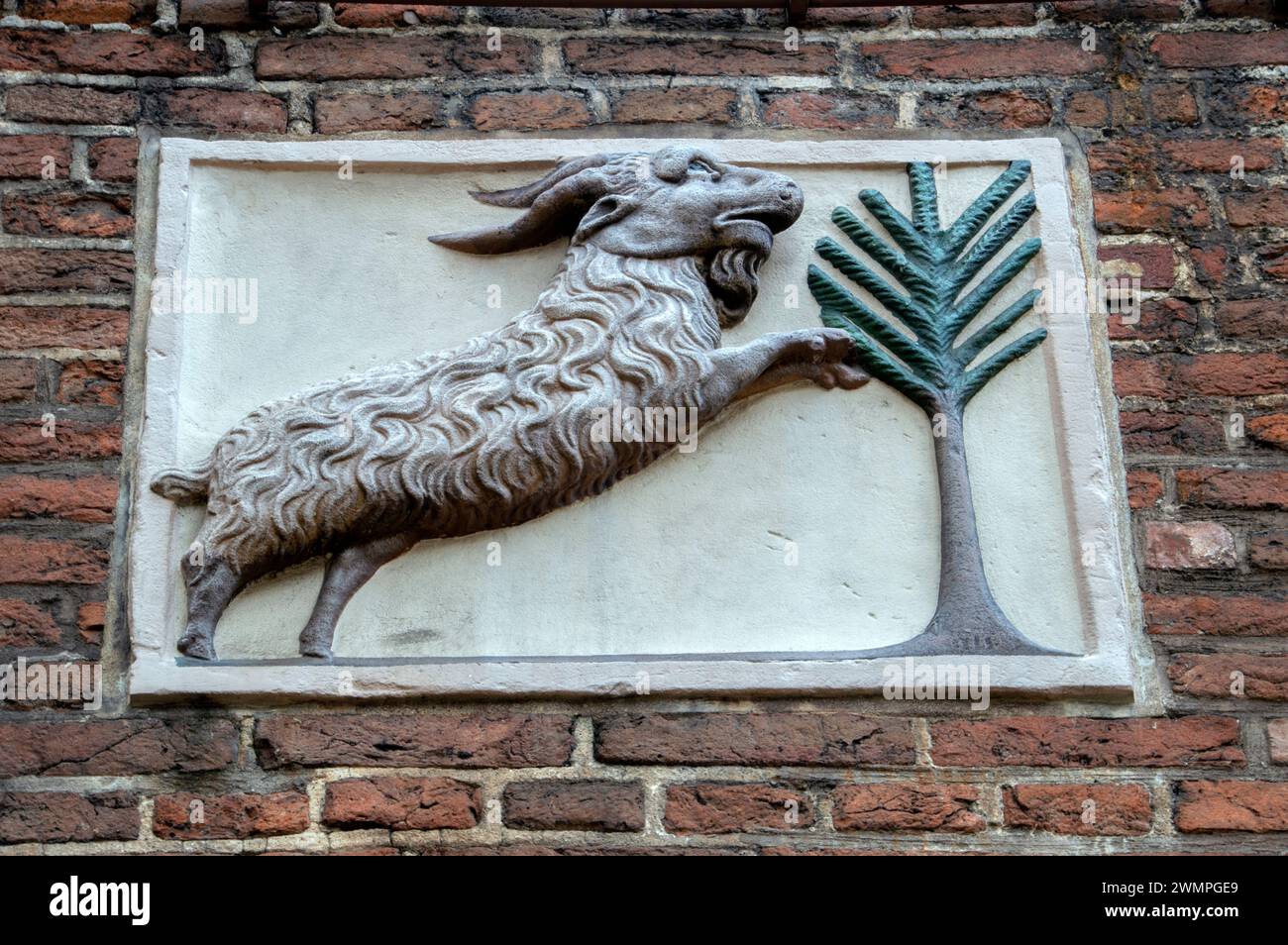 Een bok hi-res stock photography and images - Alamy