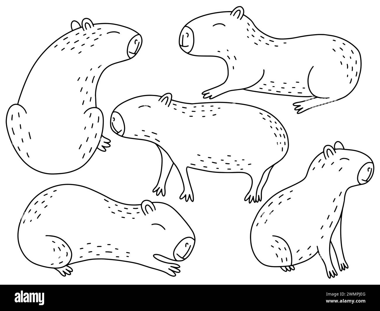 Capybaras vector hand drawn set Stock Vector Image & Art - Alamy