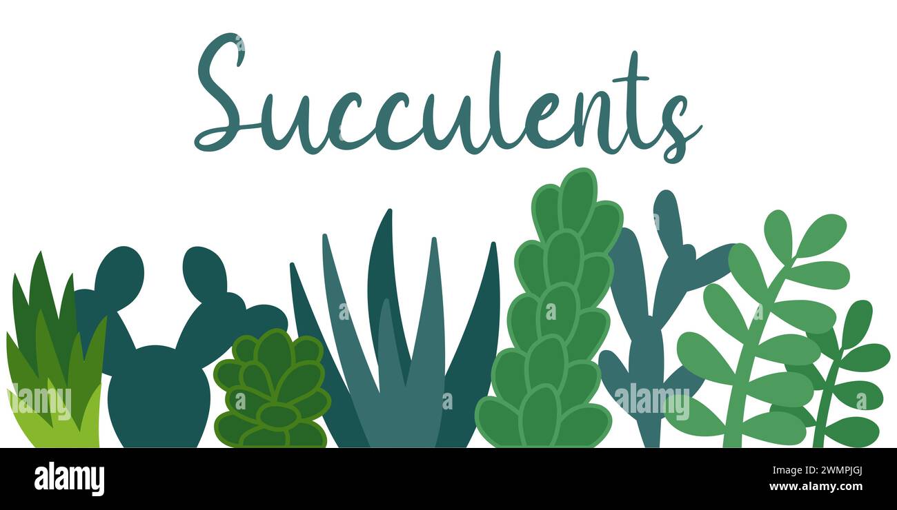 Succulent background vector Stock Vector Image & Art - Alamy
