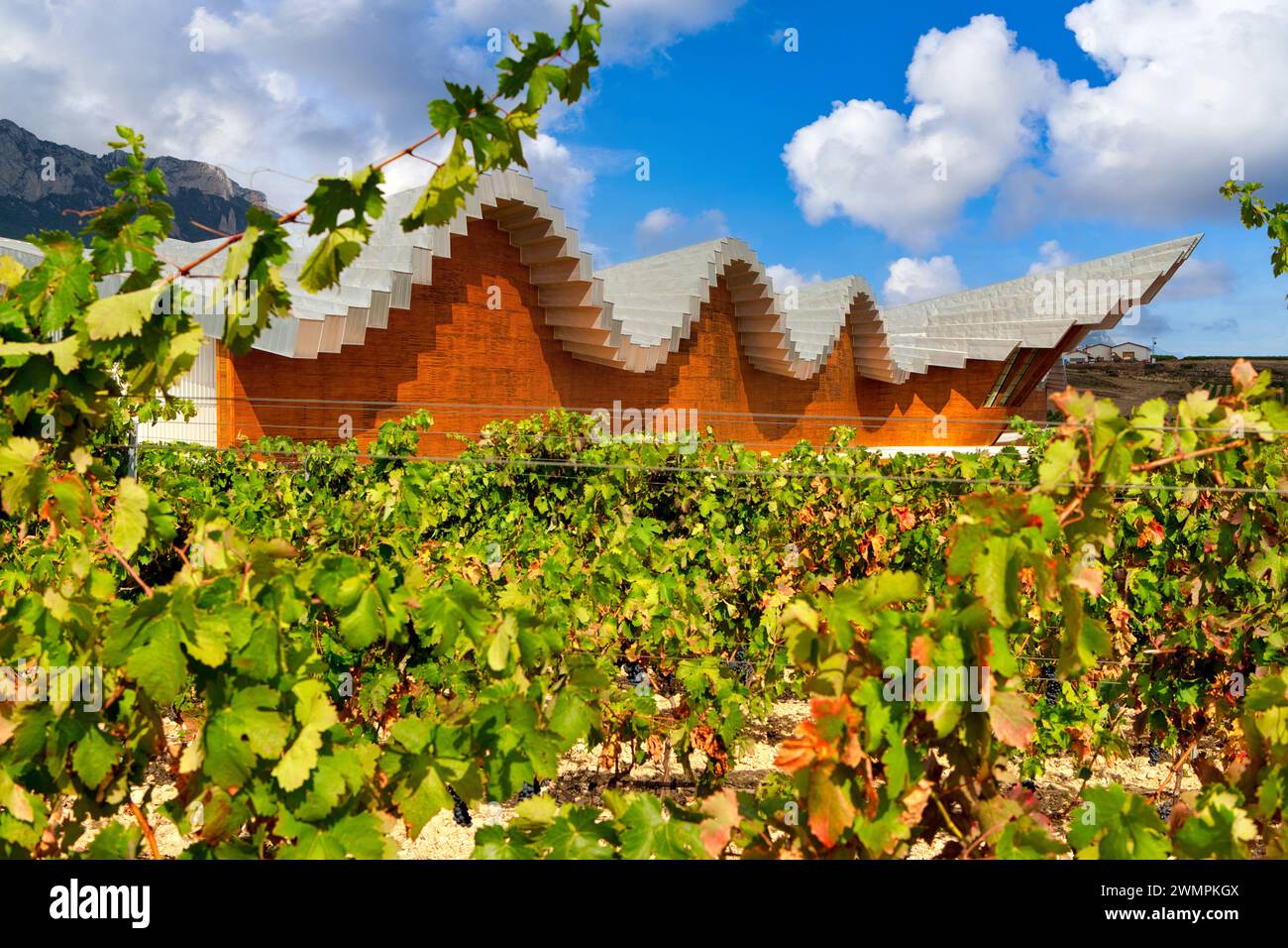 Bodegas rioja santiago hi-res stock photography and images - Alamy