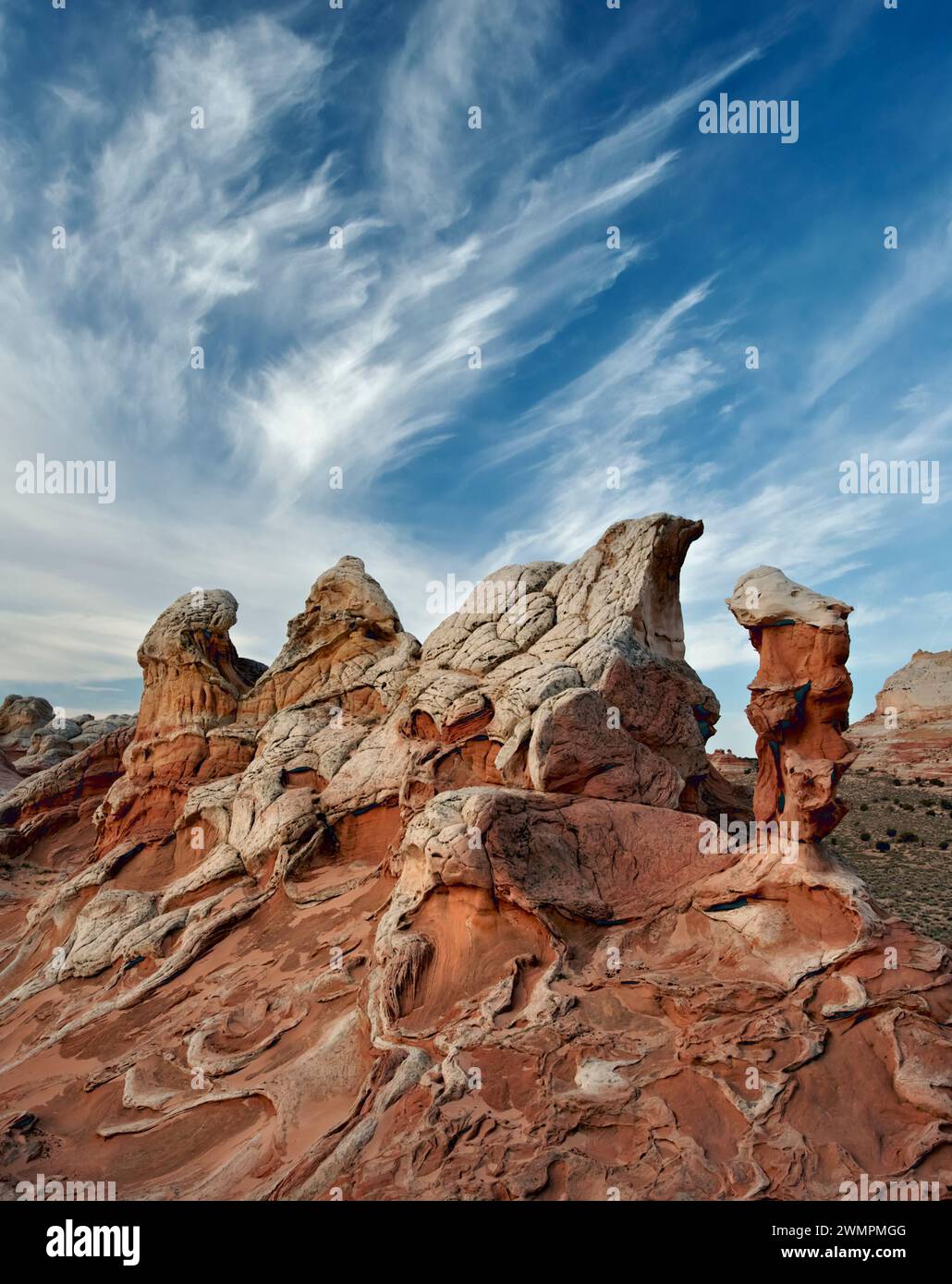 White pocket arizona hi-res stock photography and images - Alamy