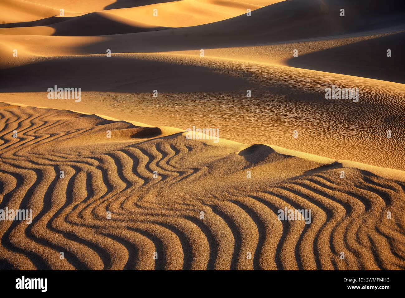 Golden sunset illuminating sand hi-res stock photography and images - Alamy