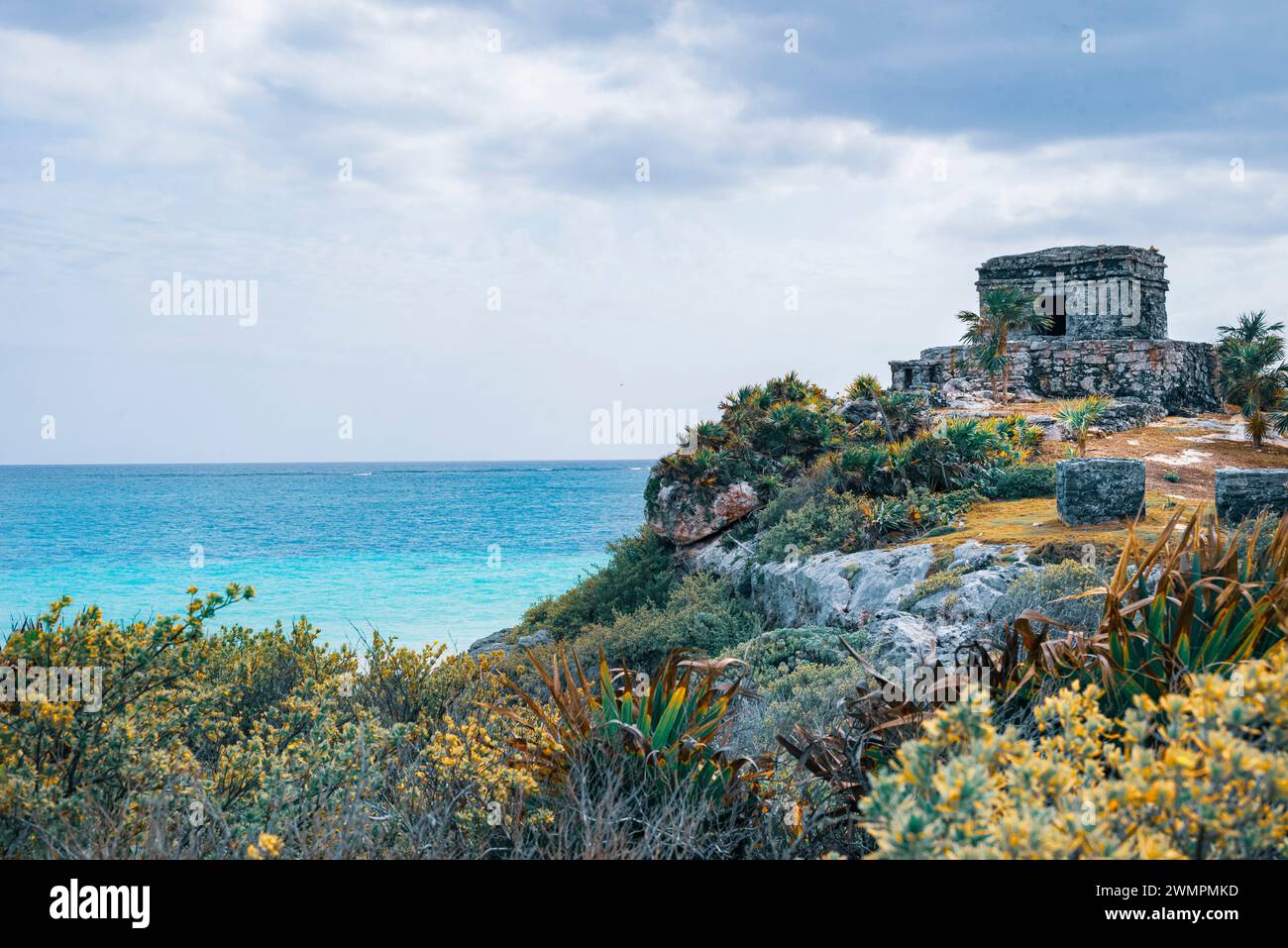 Scenic ocean view with rocks and shrubs on a hill by the sea Stock ...