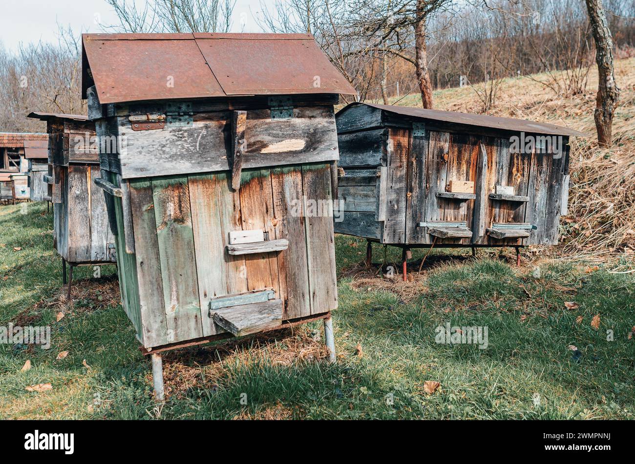 Old rural apiary hi-res stock photography and images - Alamy