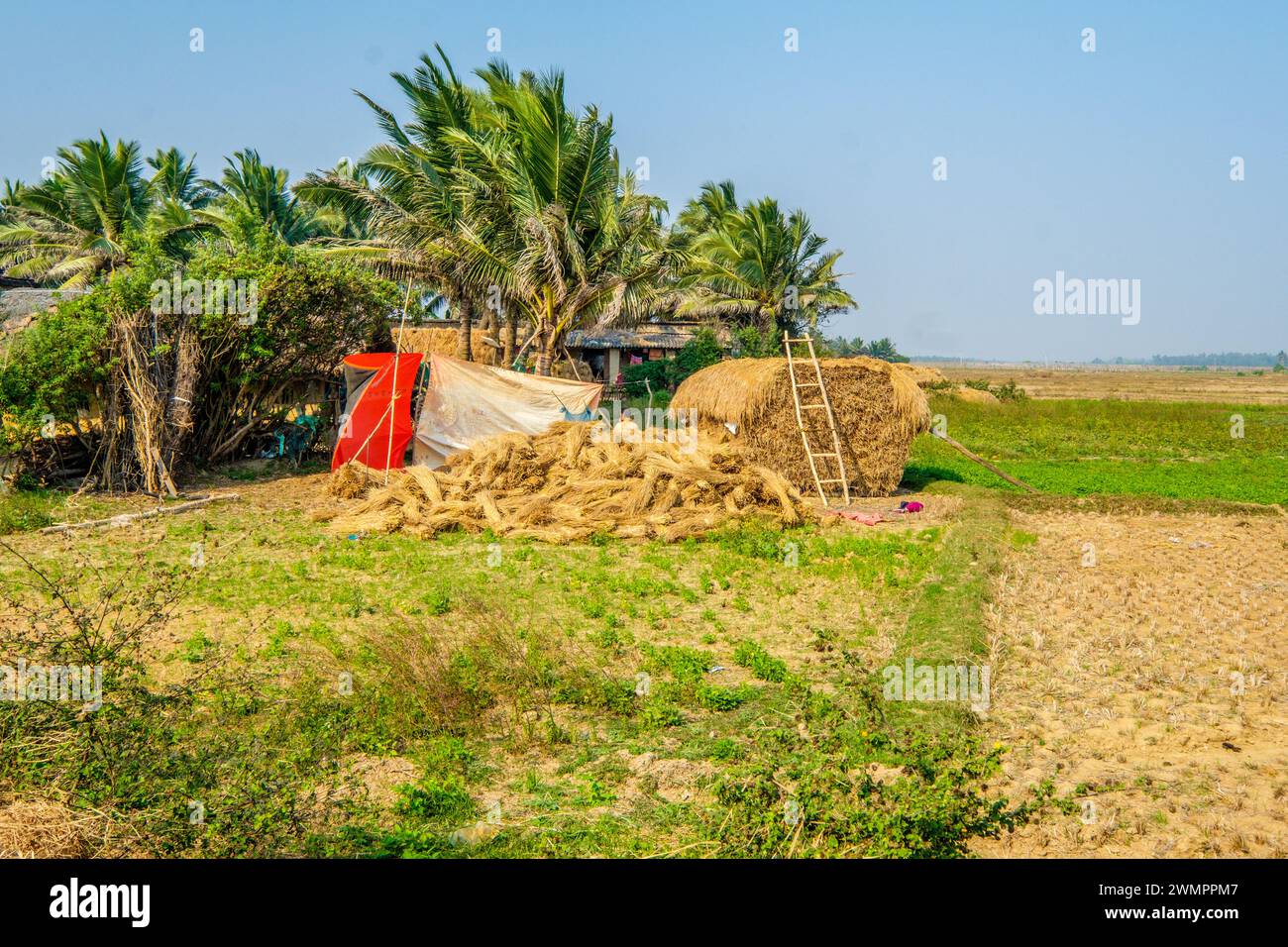 Farming village hi-res stock photography and images - Alamy