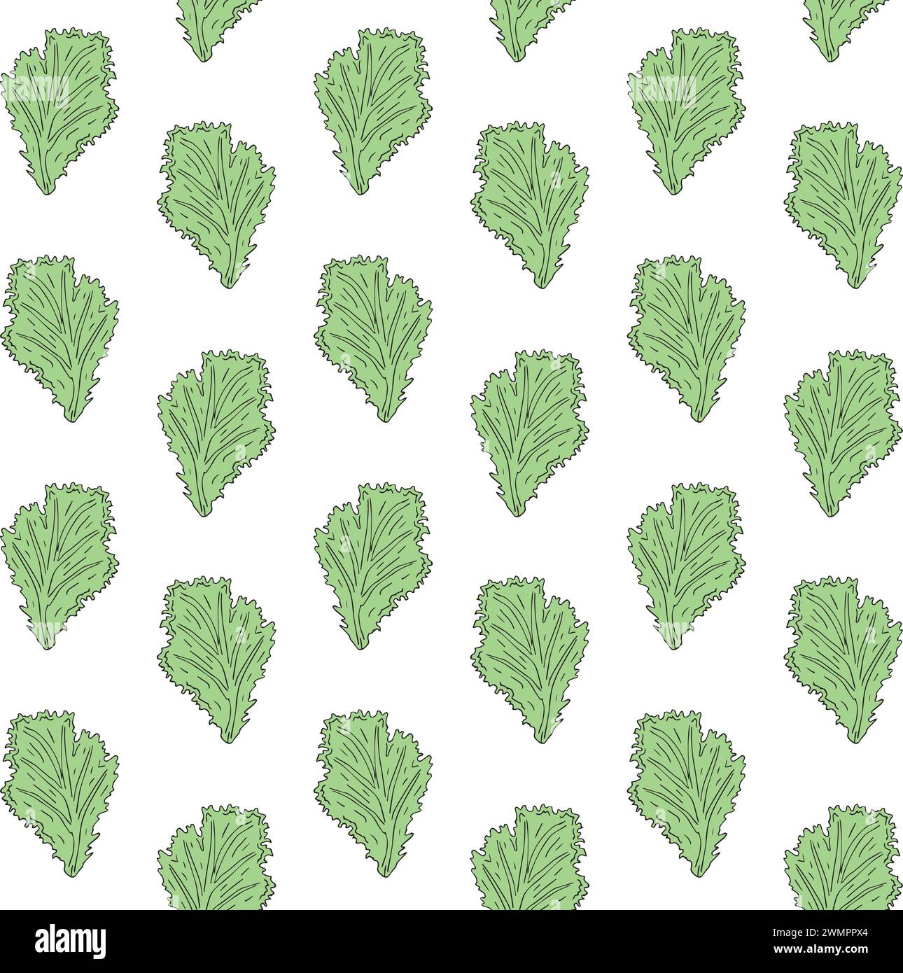Vector seamless pattern of hand drawn doodle sketch green salad leaf ...