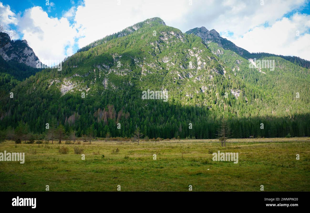 Lush green field with distant mountains and fluffy clouds in Lago di ...