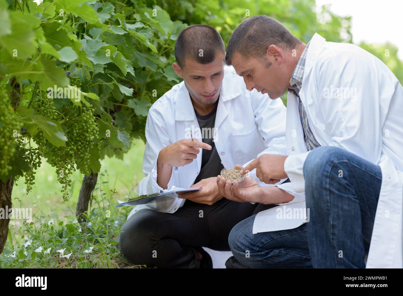 Specialists farm hi-res stock photography and images - Alamy
