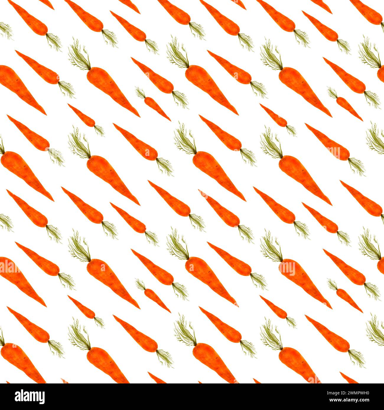 Watercolor pattern with carrots. Watercolor vegetable illustration ...