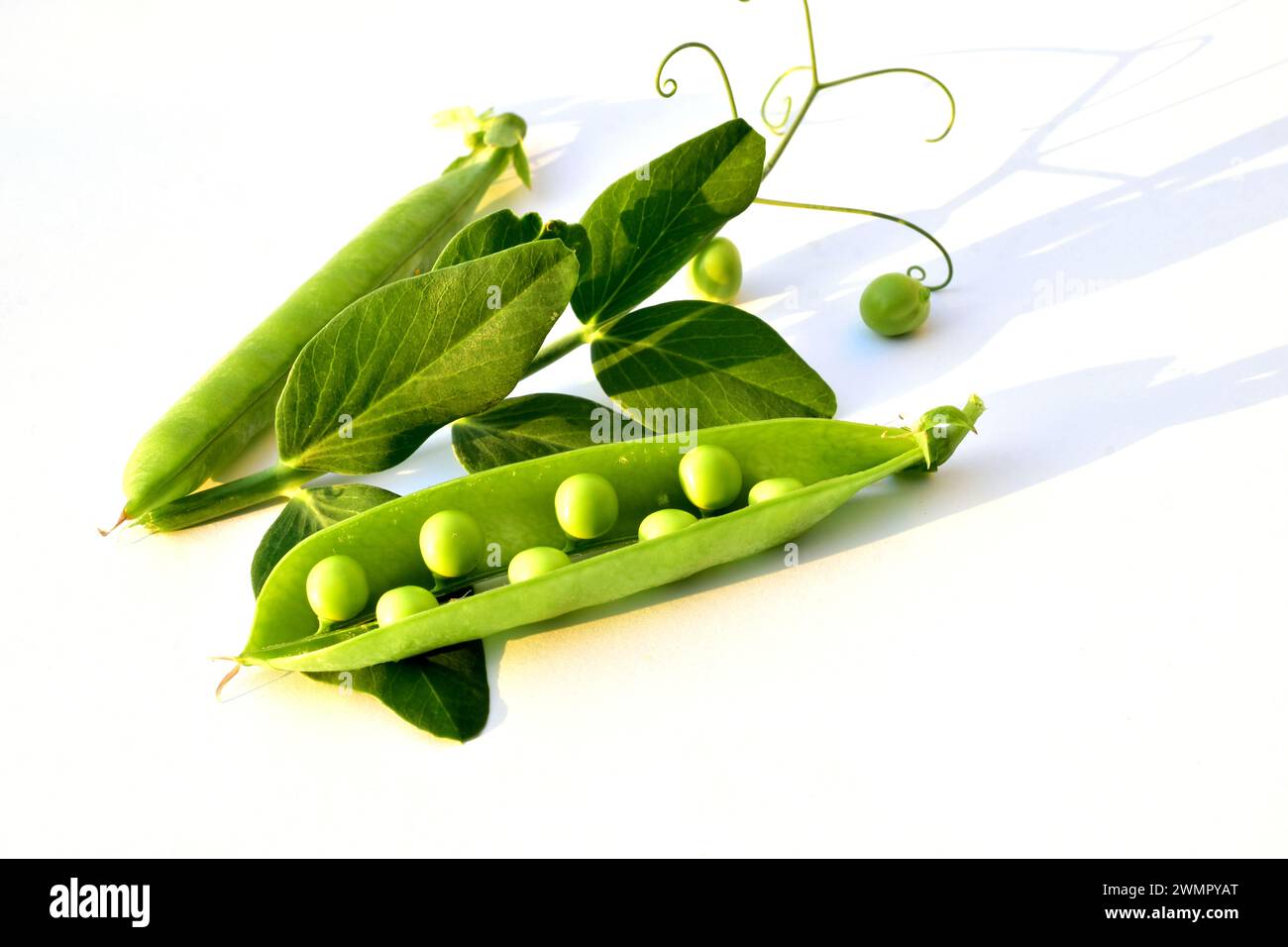 On a white table lies one open pod of green peas with fruits and a stem ...