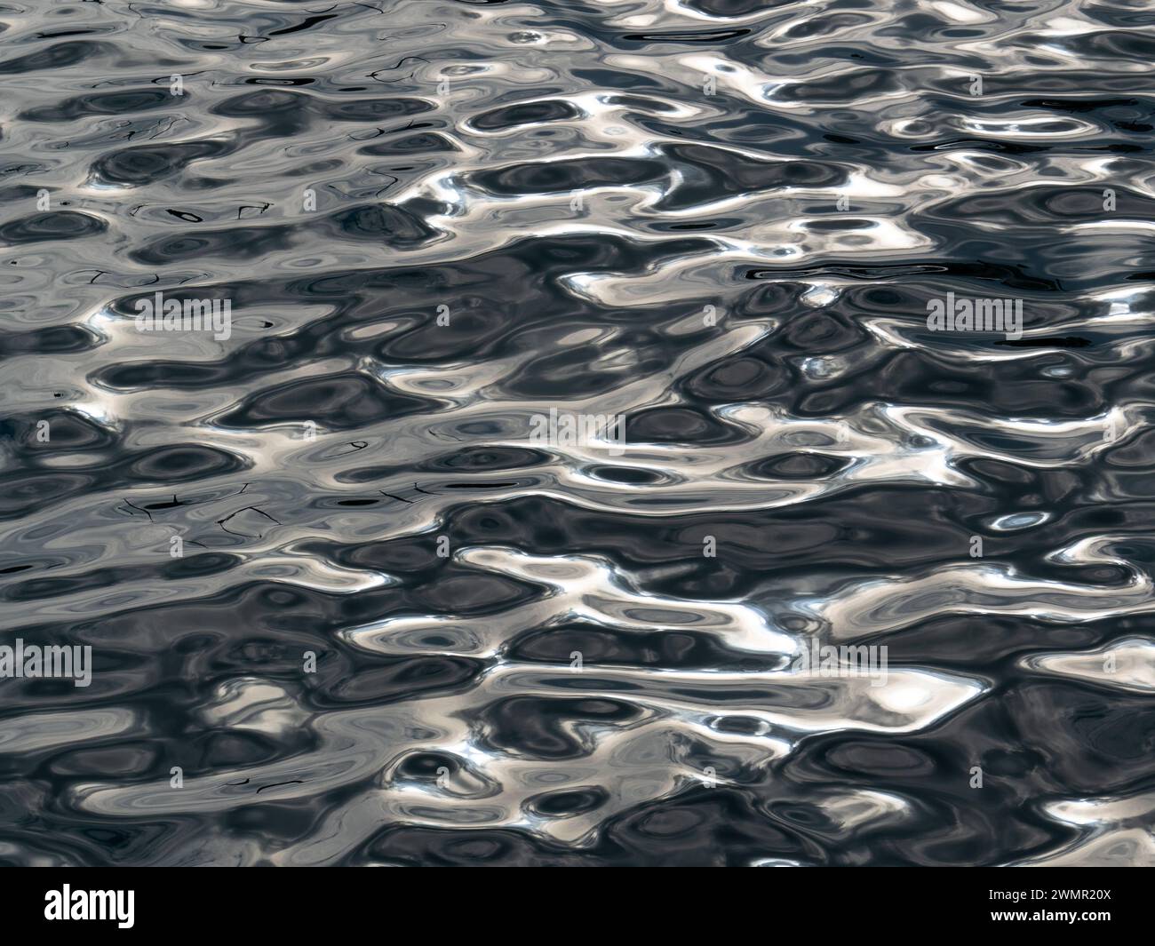 Shining silver water surface with light reflections and small waves ...