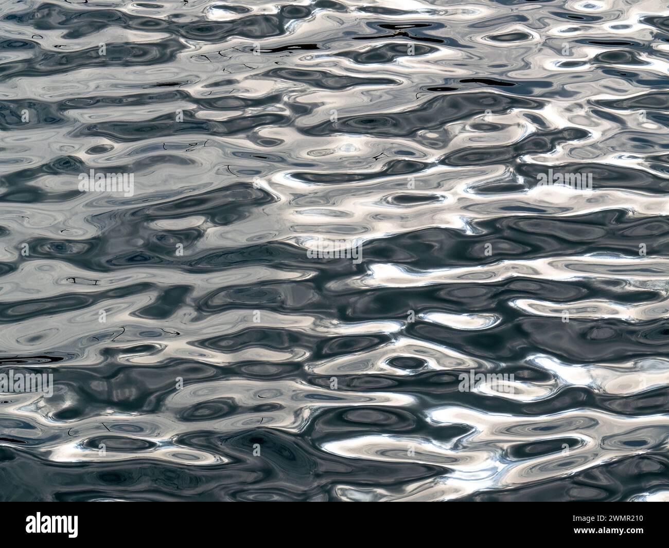 Shining silver water surface with light reflections and small waves ...