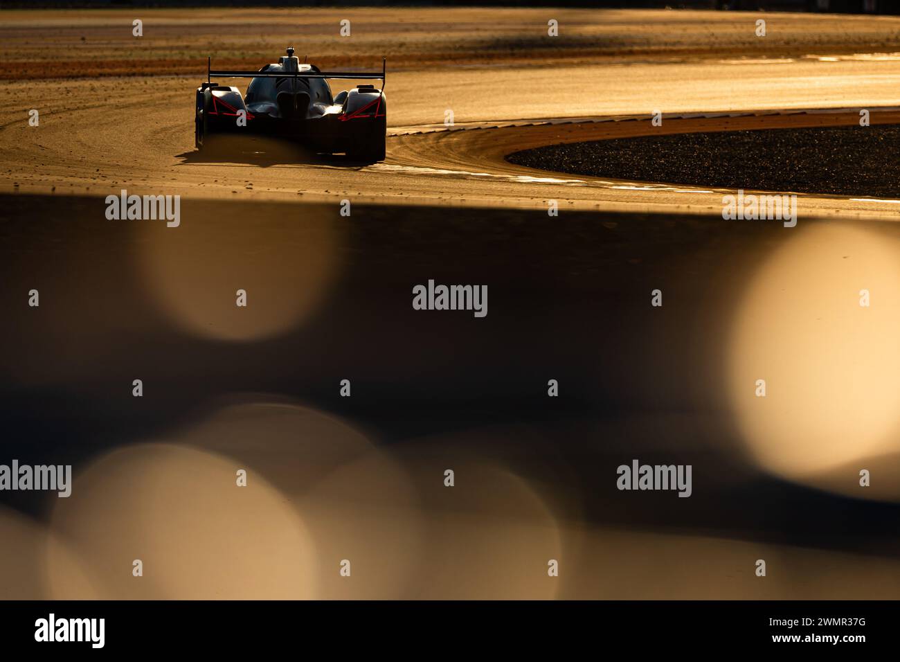 Alpine A424 action during the Prologue of the 2024 FIA World Endurance ...