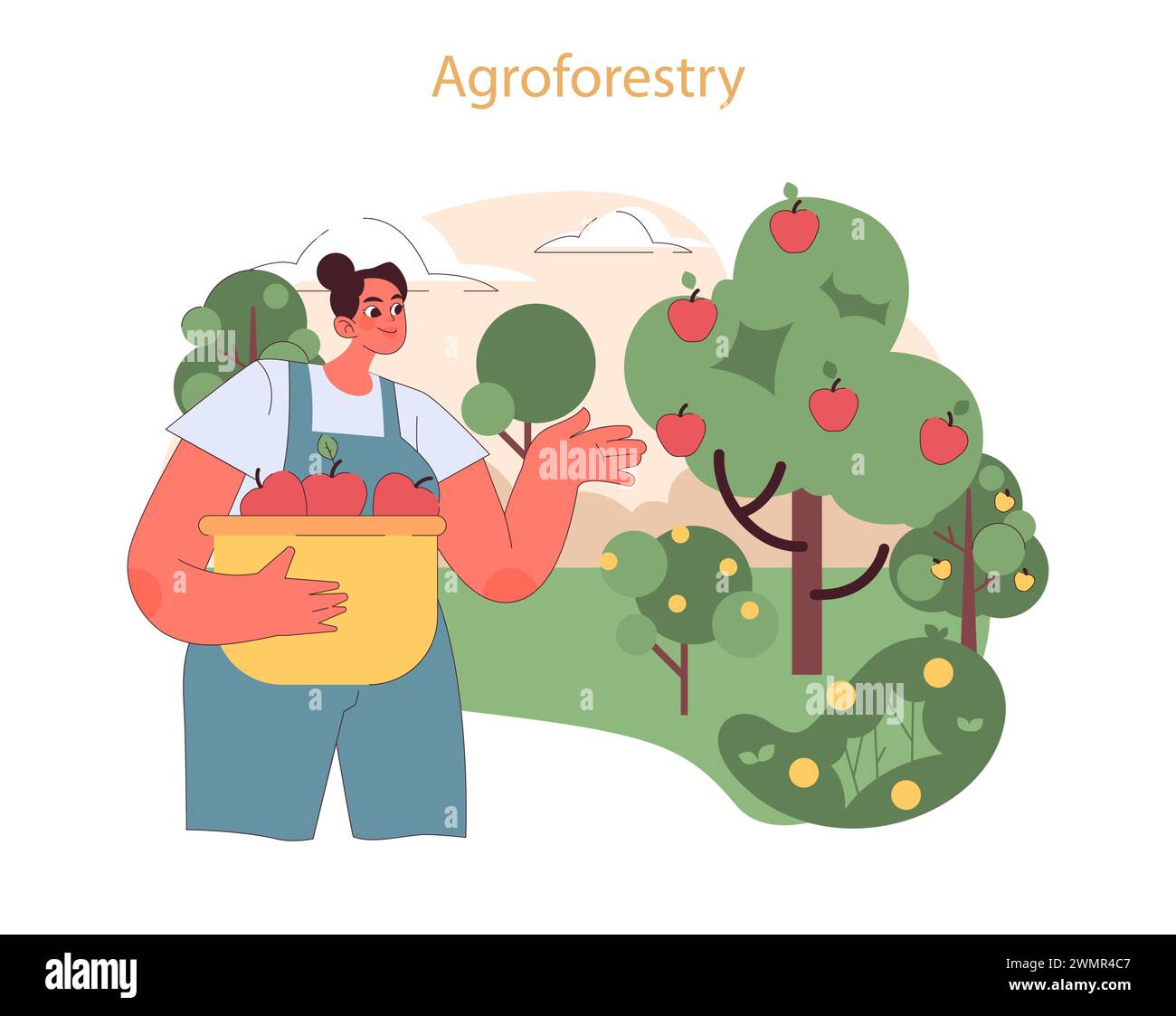 Agroforestry concept. Person holding a basket of fruit showcasing ...