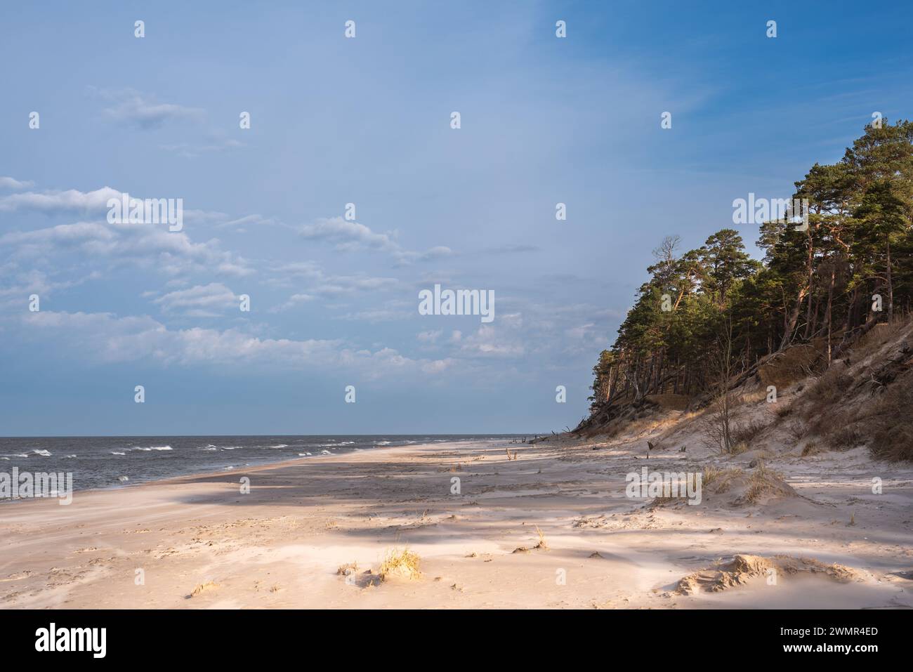 Baltic sea beach in Bernati, Latvia on sunny February day Stock Photo ...