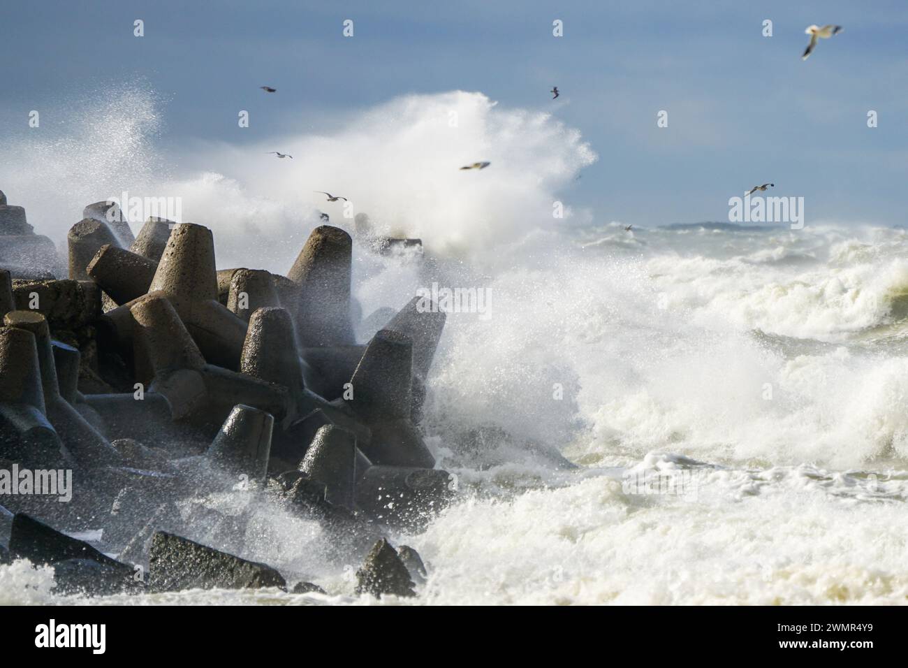 Hurricane scene, a seagull flies over waves and splashes during a ...