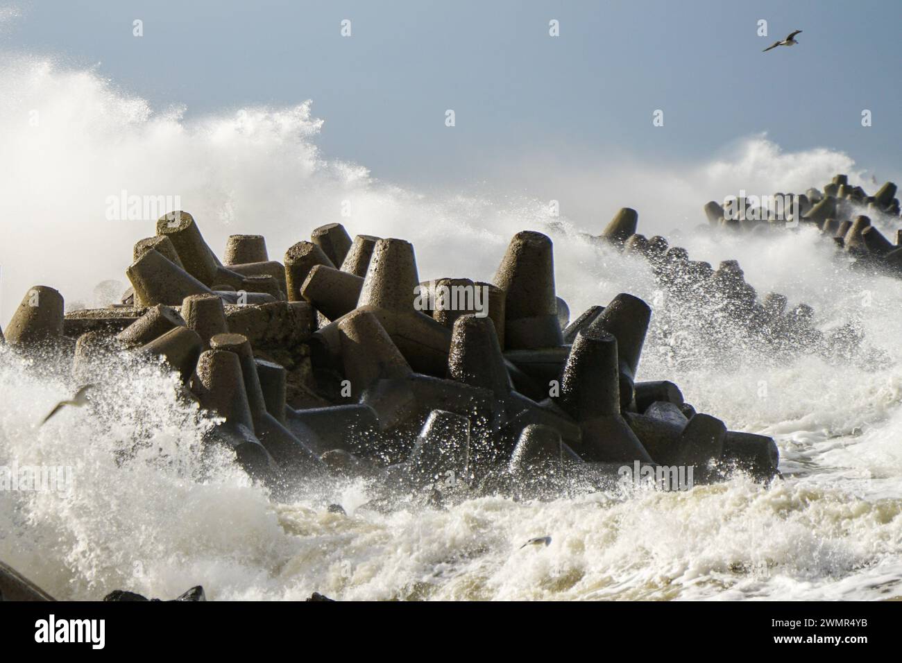 Hurricane scene, a seagull flies over waves and splashes during a ...