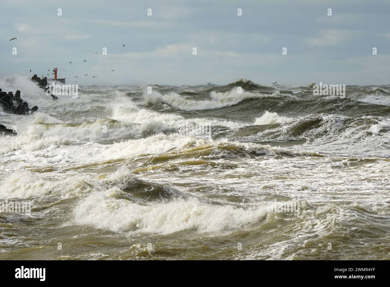 Hurricane scene, a seagull flies over waves and splashes during a ...