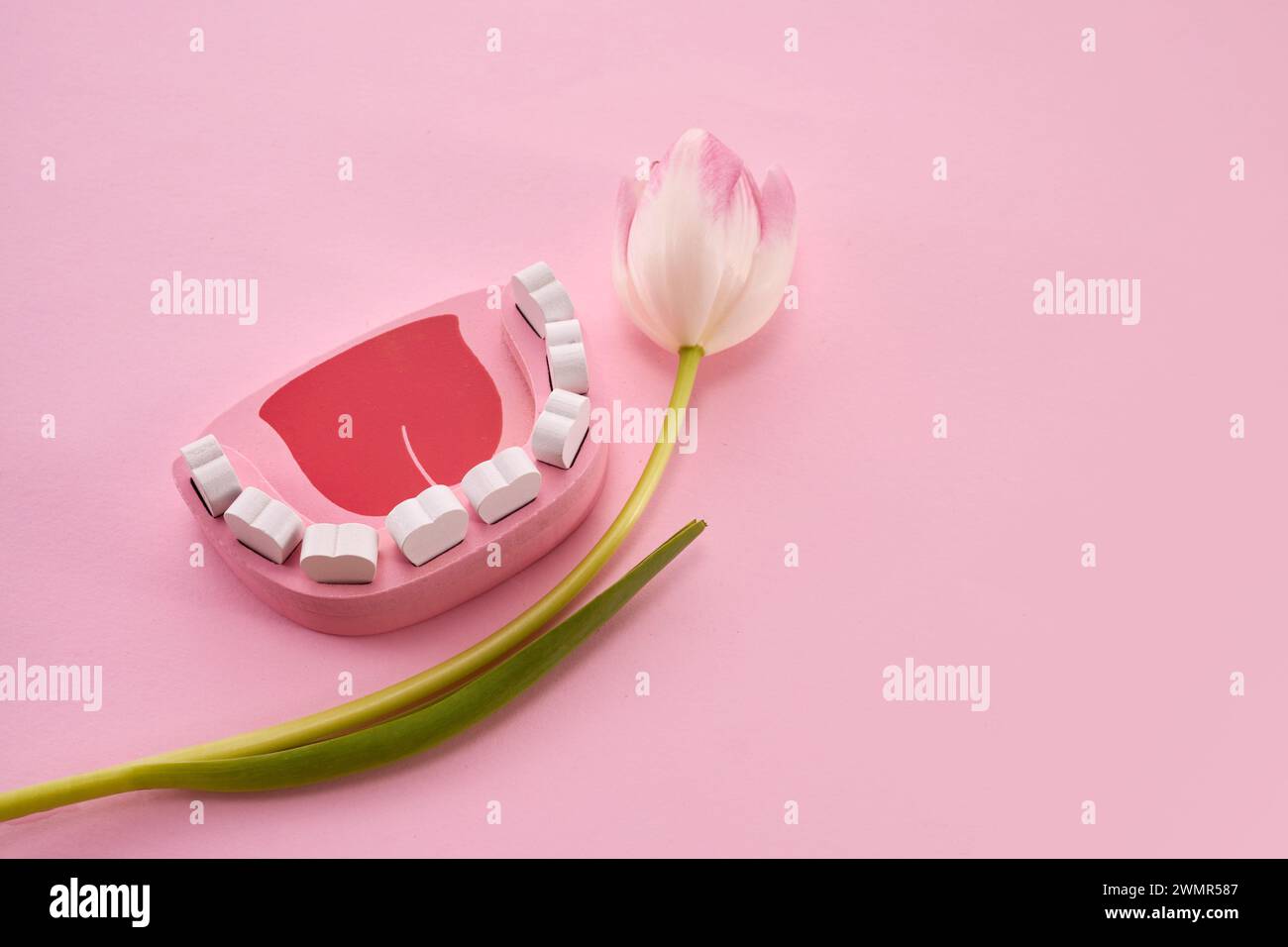 Happy Dentist's Day concept. Dental background with teeth, and tulips ...