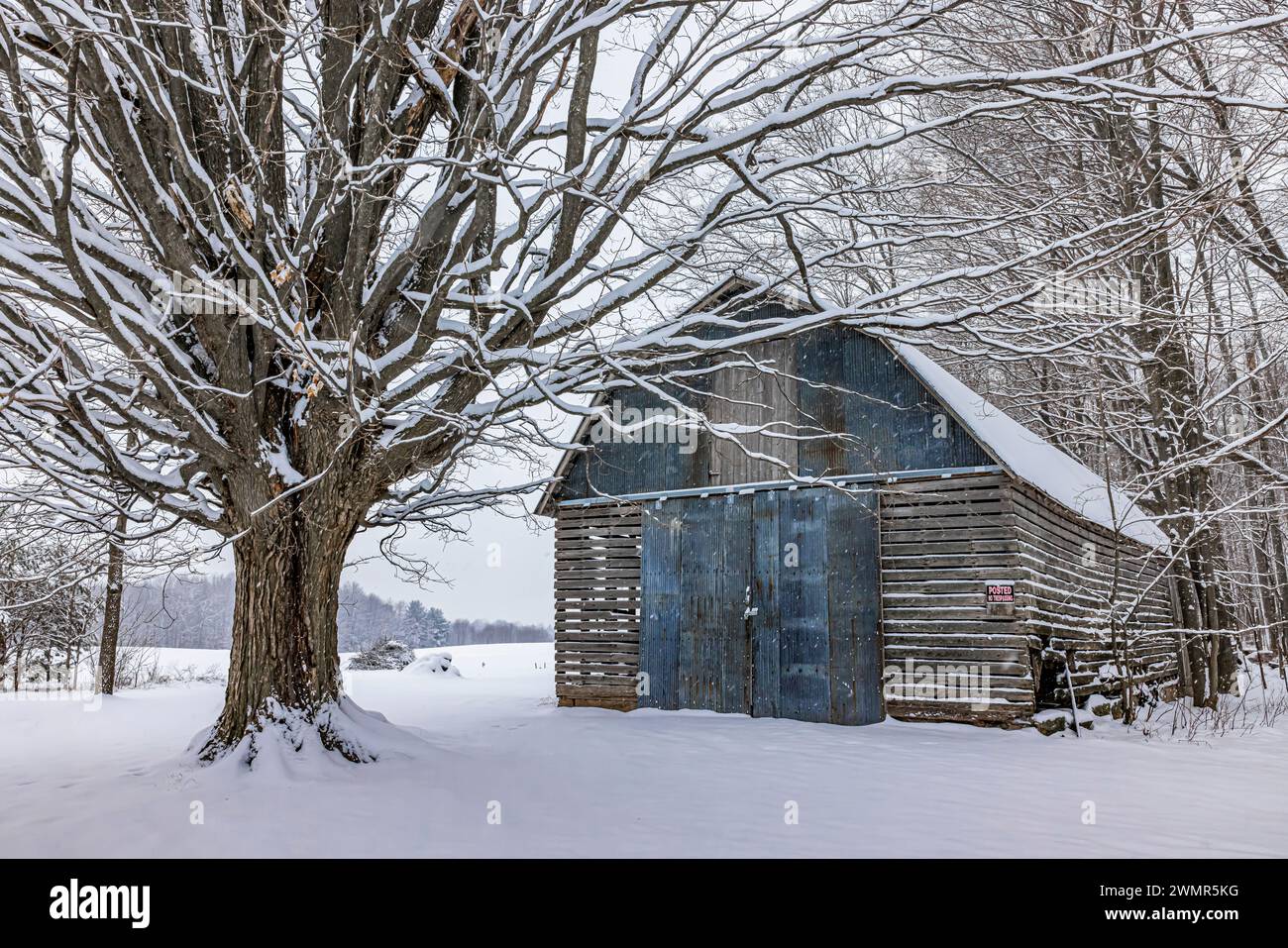 Corn crib hi-res stock photography and images - Alamy