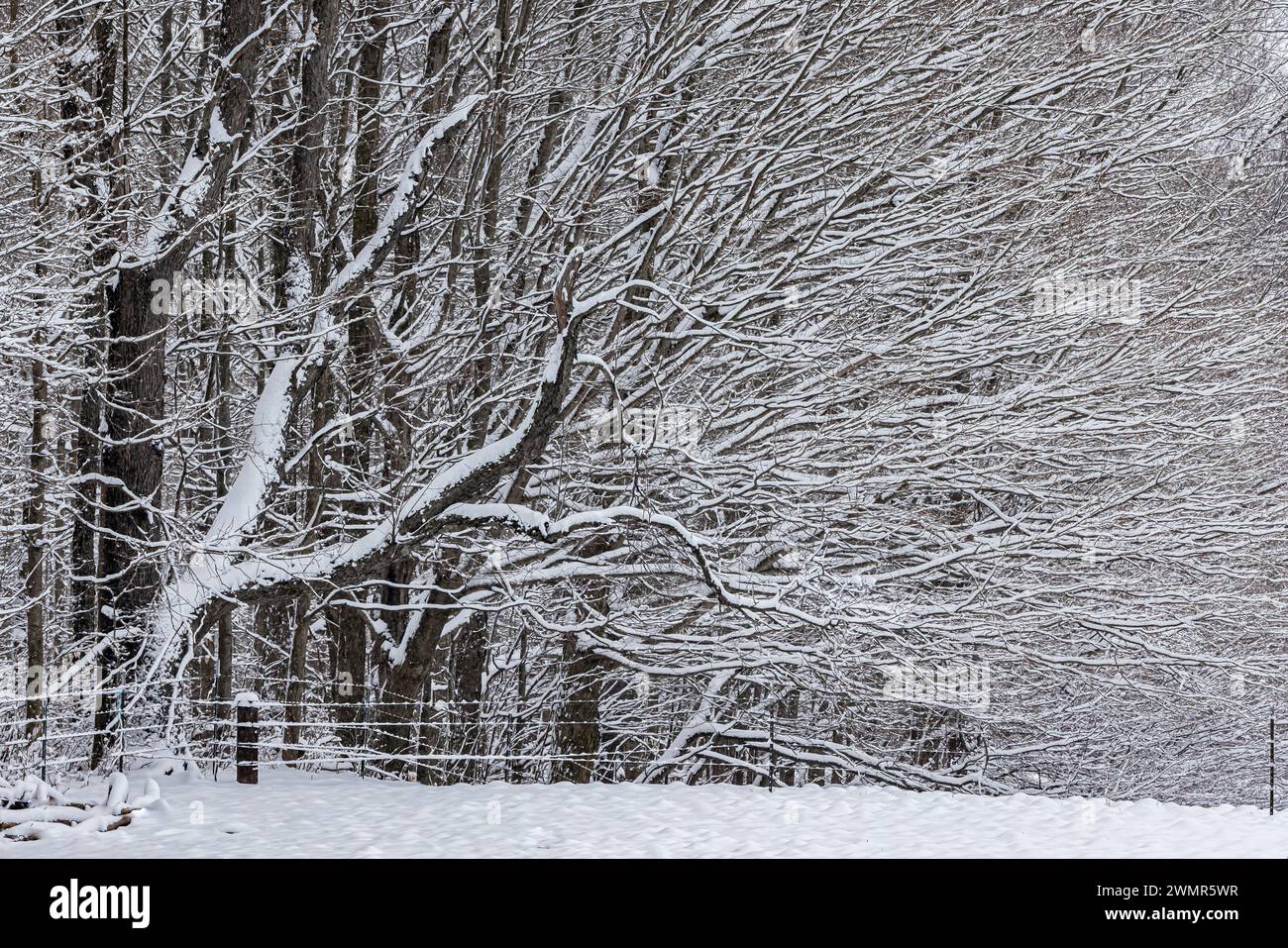 Michigan farm wet hi-res stock photography and images - Alamy