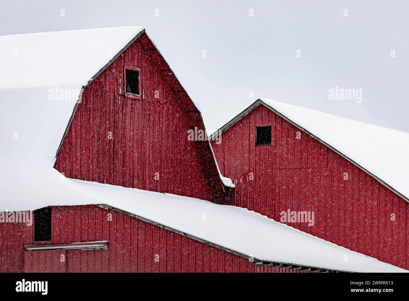 Amish red barn in Mecosta County, Michigan, USA [No property release ...