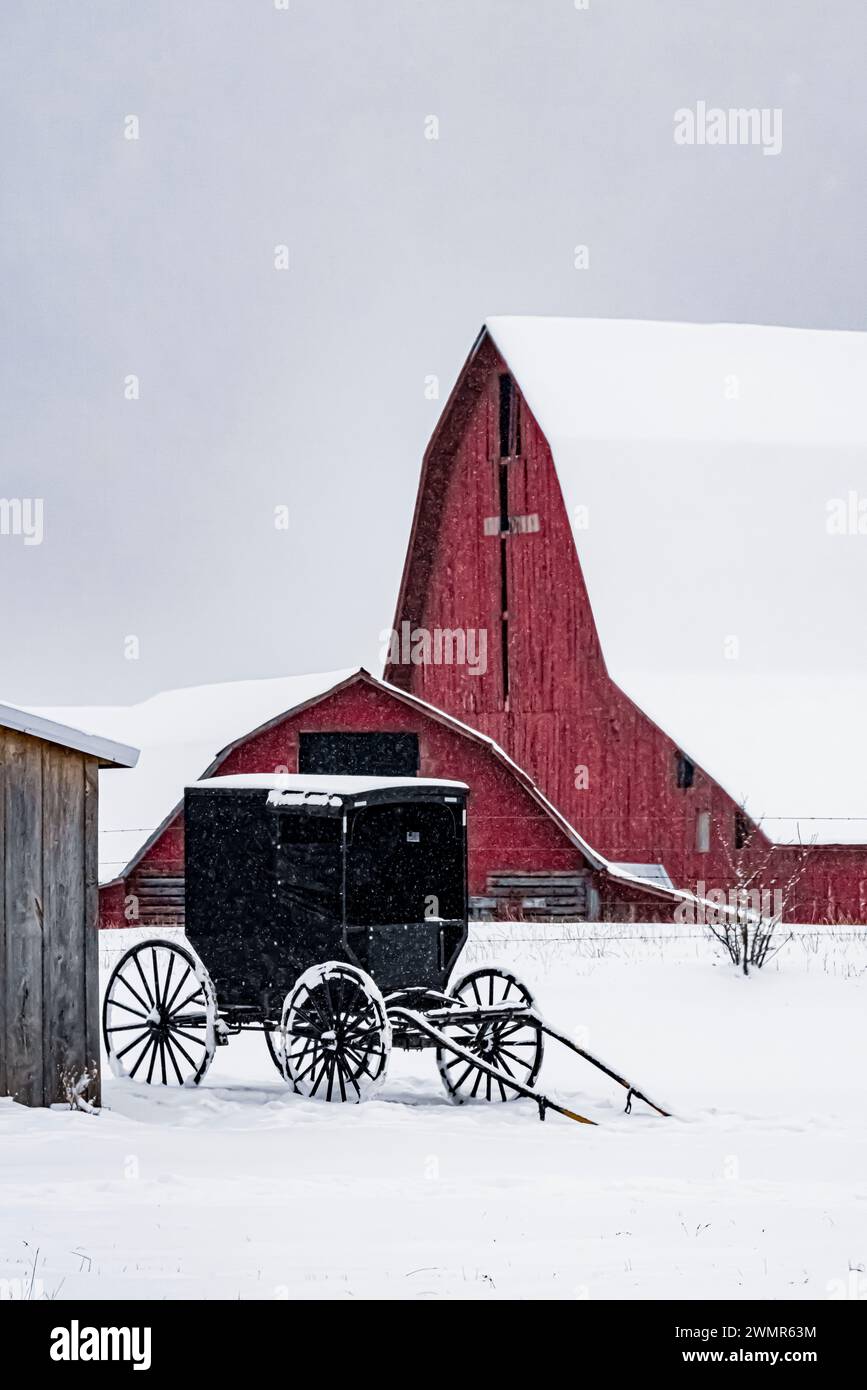 Black Amish buggy and red barn are a graphic view of winter in Mecosta ...