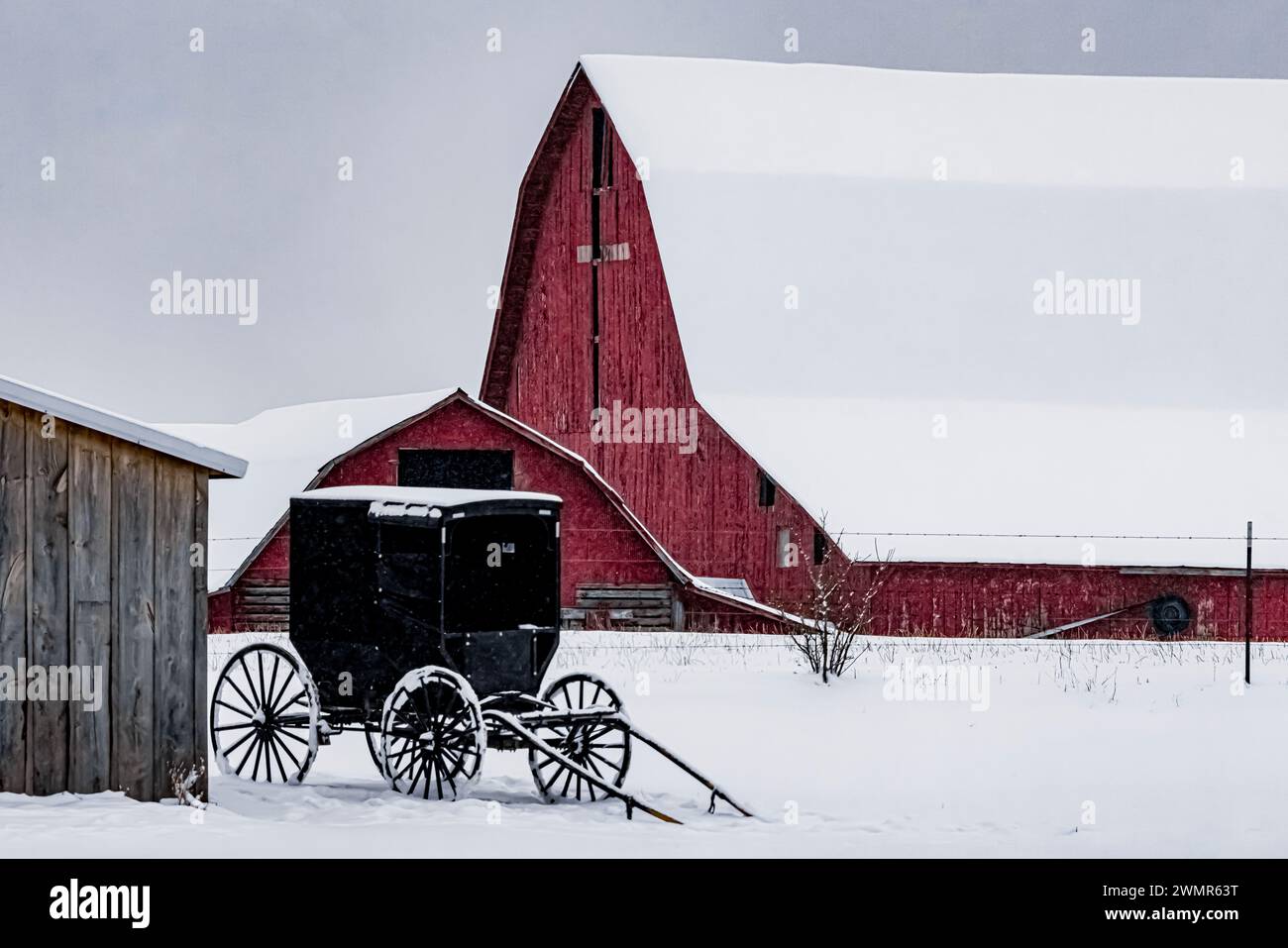 Black Amish buggy and red barn are a graphic view of winter in Mecosta ...