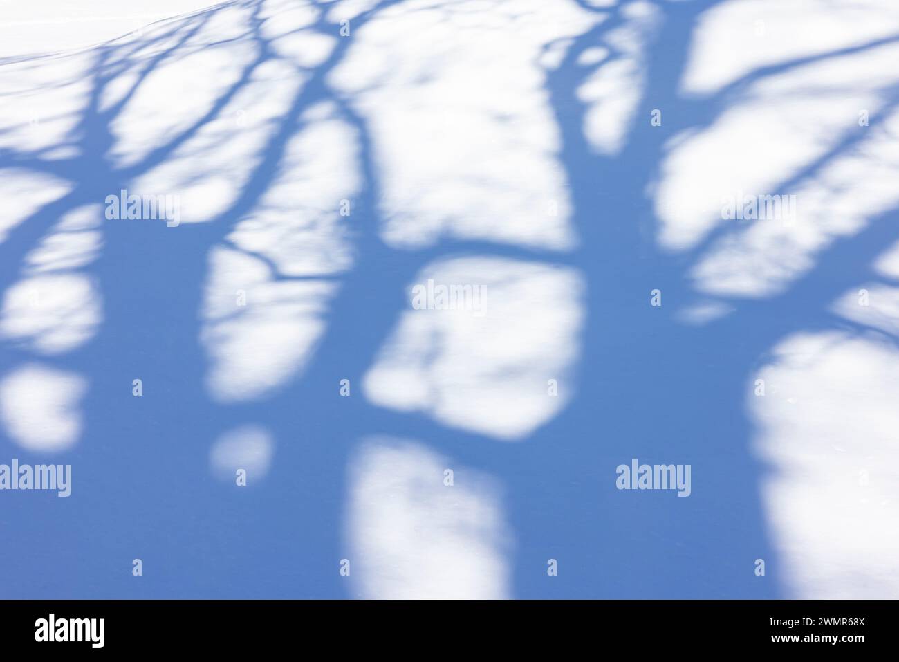 Tree shadows shadows on snow hi-res stock photography and images - Alamy