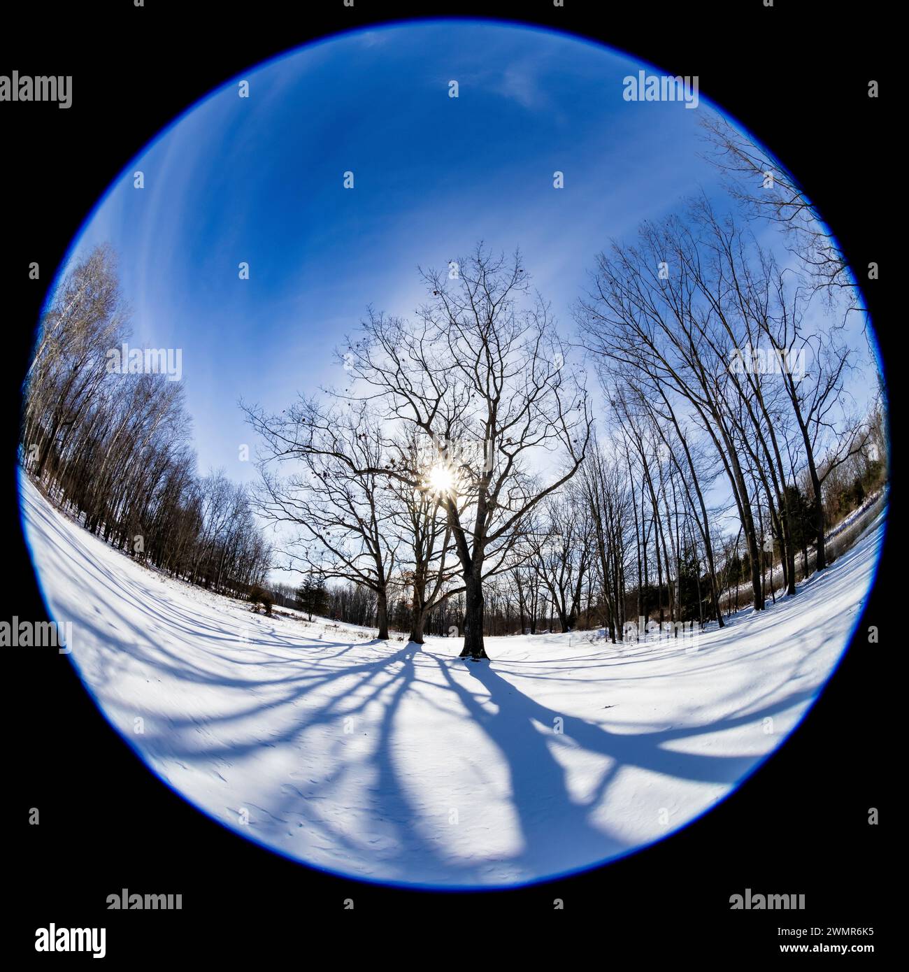 Tree through square hi-res stock photography and images - Alamy