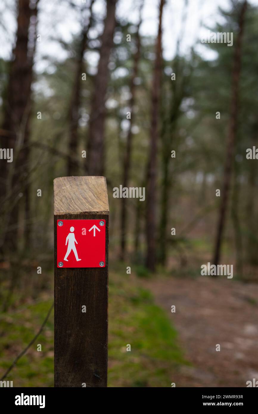 Hike trail wooden sign forest Stock Photo - Alamy