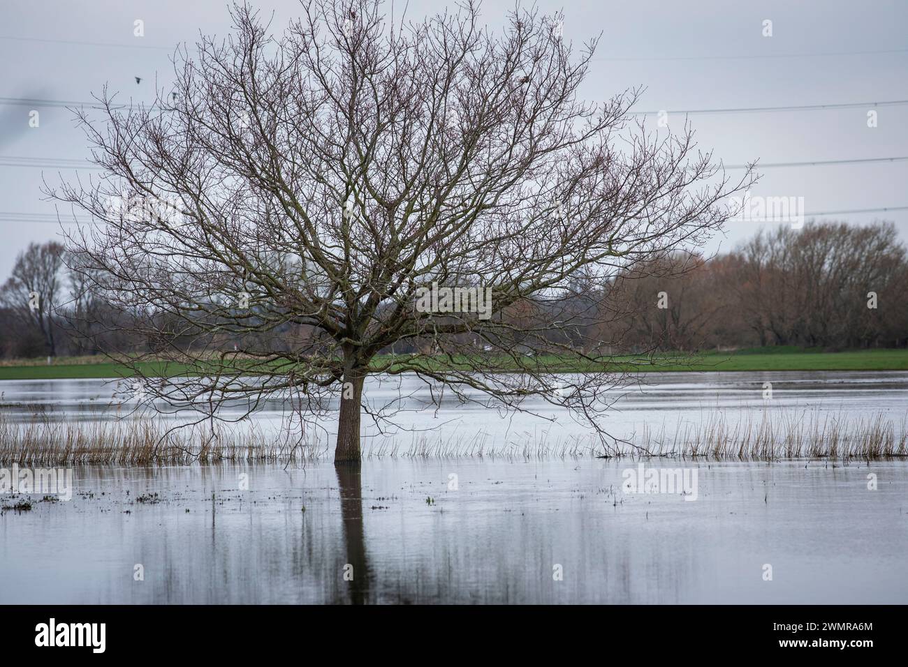 Flood uk 2024 farm hi-res stock photography and images - Alamy