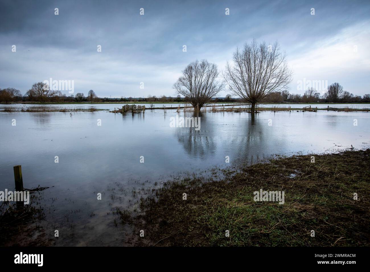 Flood uk 2024 farm hi-res stock photography and images - Alamy