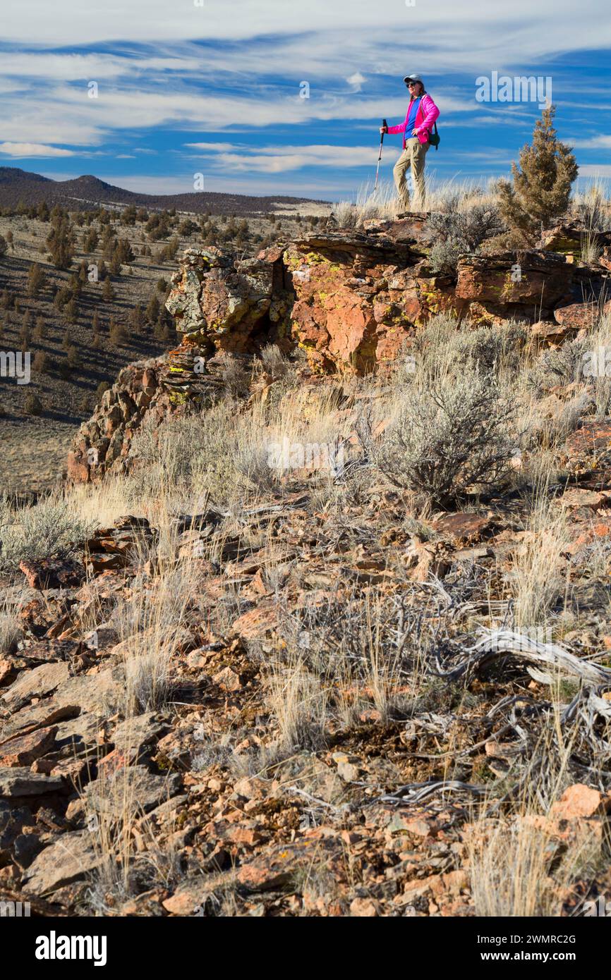 Sage - Western juniper (Juniperus occidentalis) forest view, South Fork ...