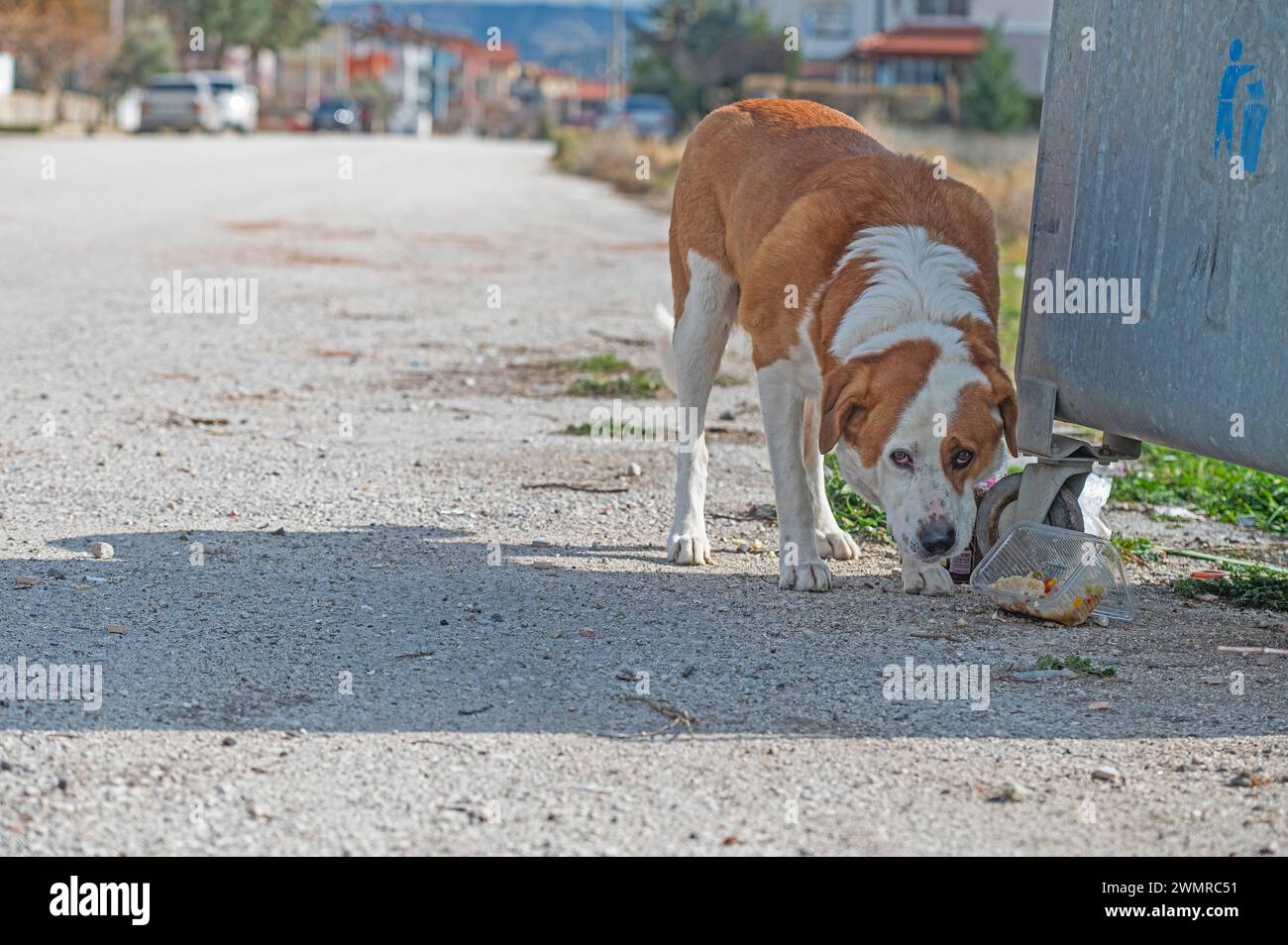 Rubbish in the street hi-res stock photography and images - Alamy