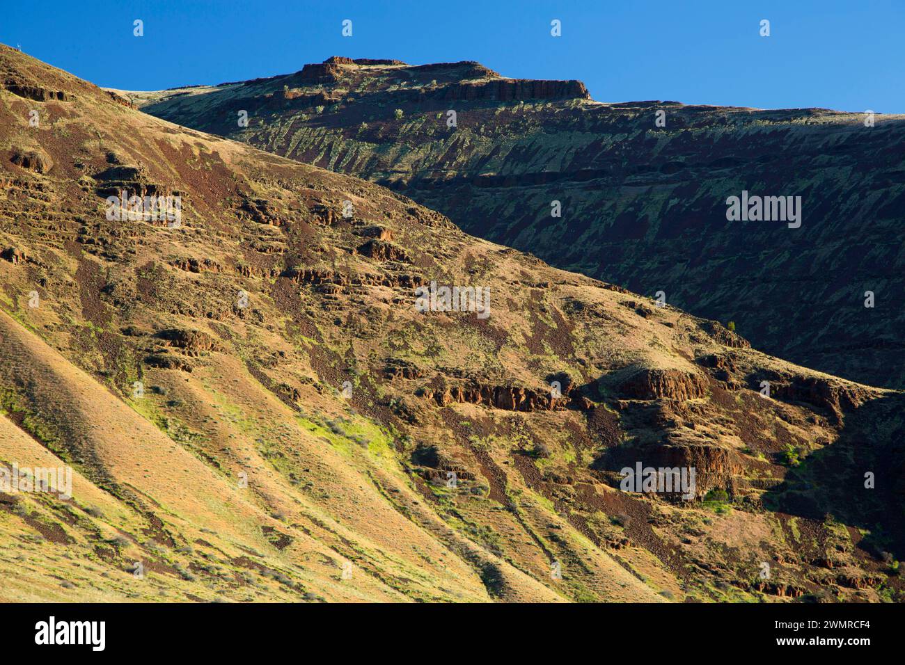 Canyon slope, Deschutes Wild and Scenic River, Lower Deschutes National ...