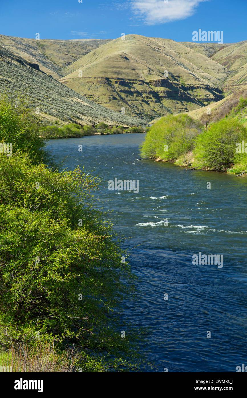Deschutes Wild and Scenic River, Lower Deschutes National Back Country ...