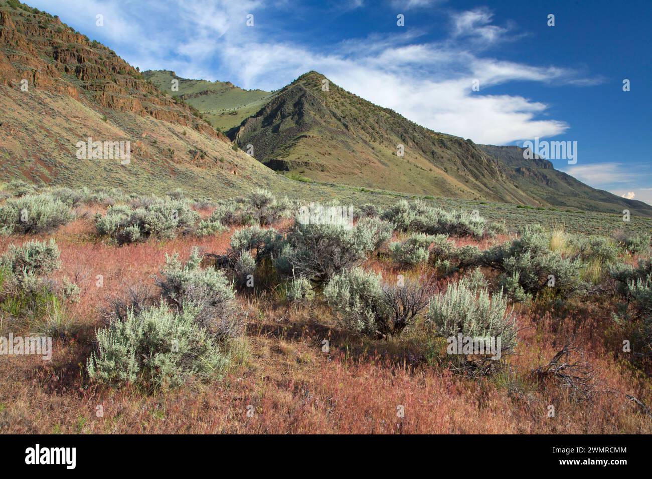 Potter Canyon, Hart Mountain National Antelope Refuge, Oregon Stock ...
