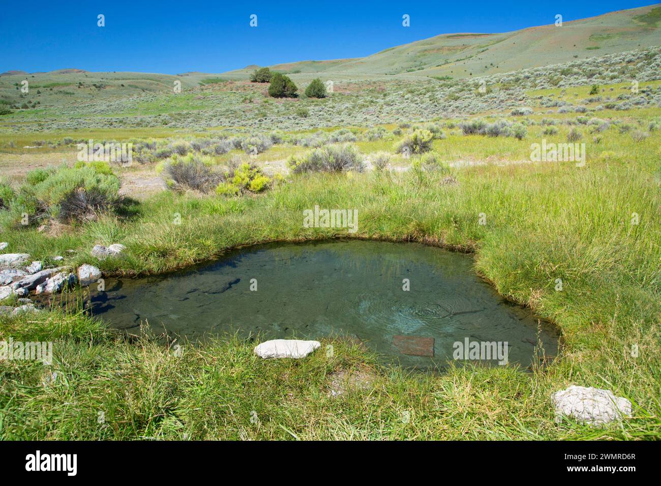 Hot springs, Hart Mountain National Antelope Refuge, Oregon Stock Photo ...