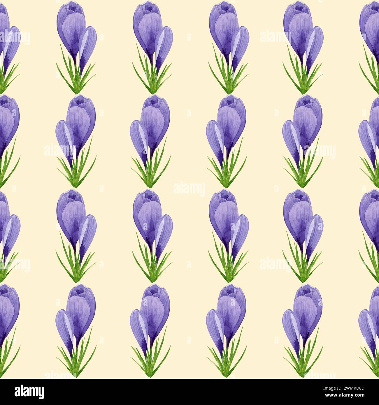 Watercolor purple crocuses seamless pattern, spring flower digital ...